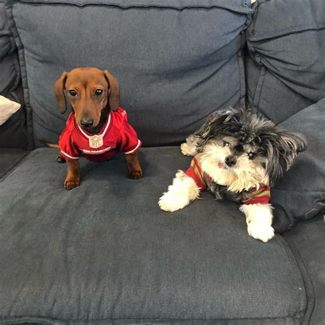 The Fred Show The Fred Show Added A New Photo