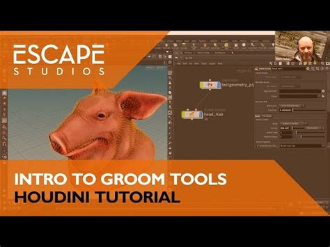 Free Video Introduction To Groom Tools Houdini Tutorial From Escape