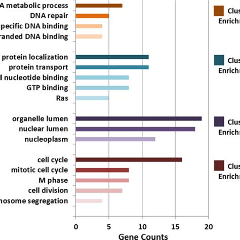 Functional Annotation Clustering Determined Using DAVID Bioinformatics Download Scientific