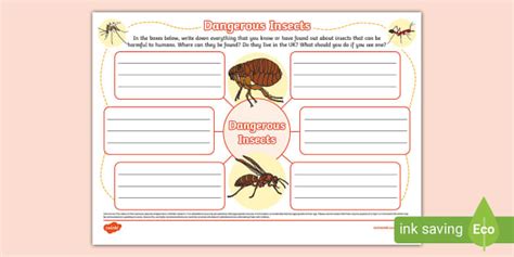 Dangerous Insects Mind Map Teacher Made Twinkl