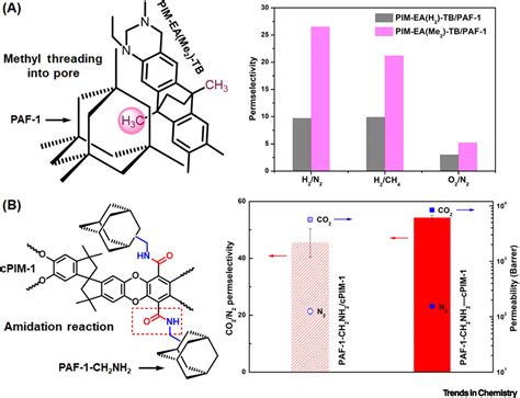 Porous Aromatic Frameworks With Engineered Properties For Gas Separation Membranes Trends In
