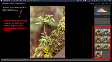 missing adobe landscape adobe vivid color profile adobe community