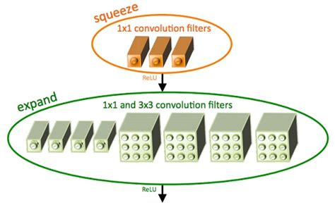 The SqueezeNet Model