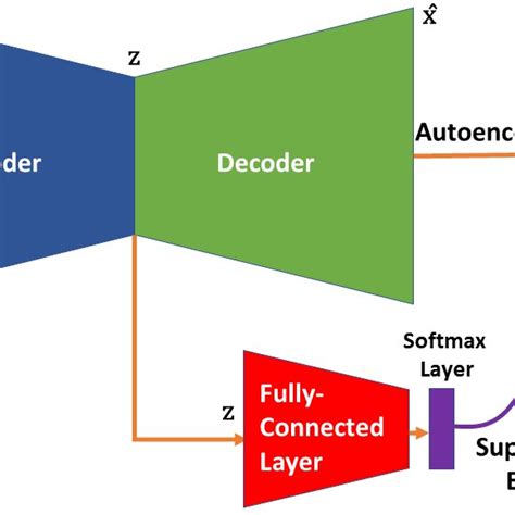 Schematic Of A Single Layer Supervised Autoencoder Neural Network Sae