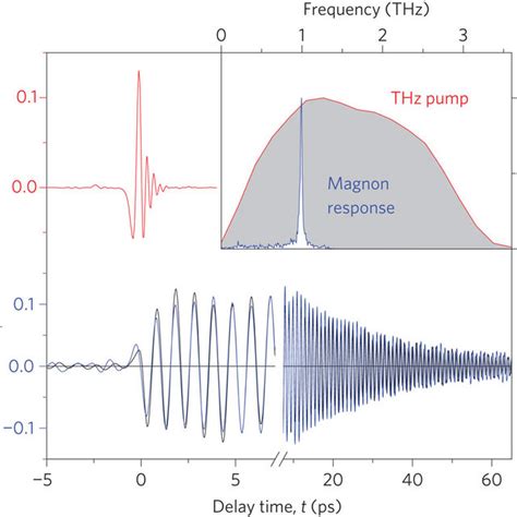 Pdf Coherent Terahertz Control Of Antiferromagnetic Spin Waves