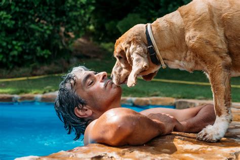 Variable Speed Pumps The Energy Efficient Pool Solution Pool Chemical Calculator