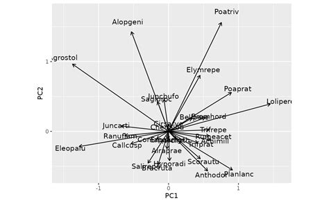 ggplot based plot for objects of class rda — autoplot rda ggvegan