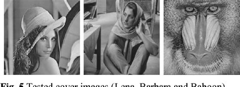 Figure 5 From Image Steganography With Using Qr Code And Cryptography