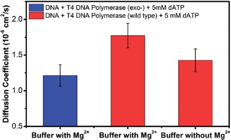 Diffusion Coefficients Of DNA Polymerase Complexes Containing Either Download Scientific