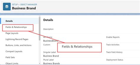 salesforce geolocation field