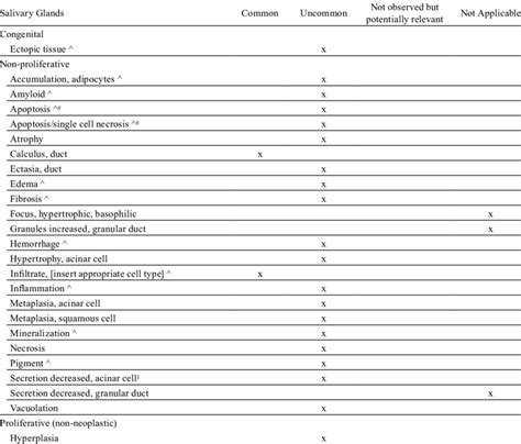 Microscopic Findings Of The Digestive System Salivary Glands