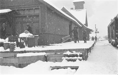 Pin By Acs Blüm On Winterbahn Trout Lake Placerville Rio Grande