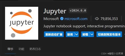 在vscode使用jupyter（小白）vscode Jupyter Csdn博客