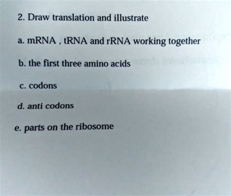 Solved 2 Draw Translation And Illustrate A Mrna Trna And Rrna