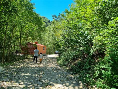 اجاره کلبه جنگلی جوارم زیرآب