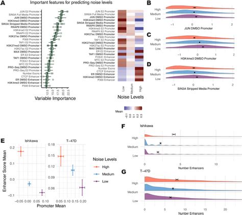 Cis Regulatory Control Of Transcriptional Timing And Noise In Response