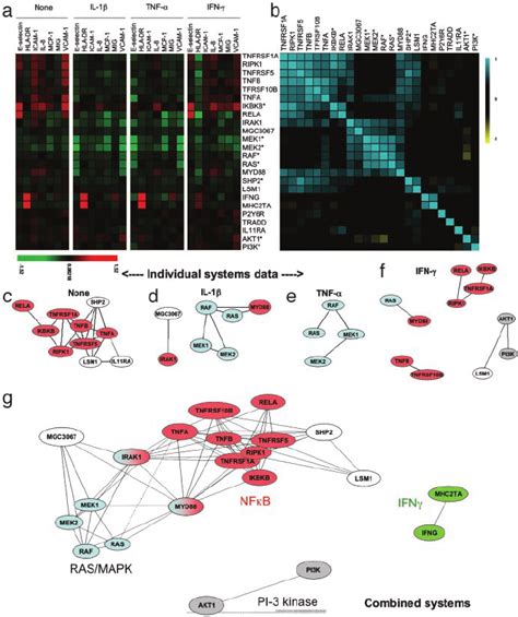 Functional Classi Fi Cation Of Genes In Multiple Cellular Contexts A Download Scientific