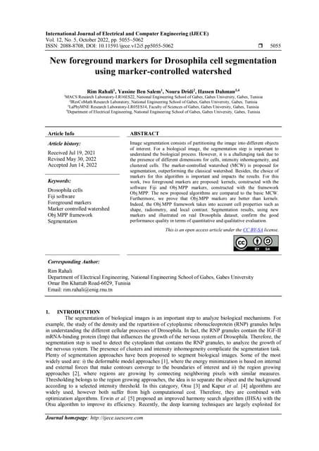 new foreground markers for drosophila cell segmentation using marker
