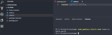 Typescript Is It Possible To Use Locally Installed Ts Node In Packagejson Bin Stack Overflow
