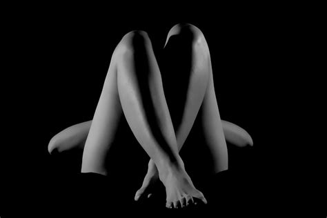 Sex And The Seductions Of Social Explanation