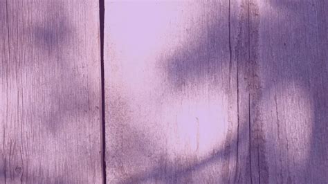 Sleep And Circadian Rhythm In Brain And Mental Health