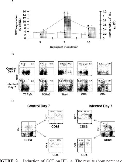 Figure 2 From Reovirus Serotype 1 Strain Lang Stimulated Activation Of Antigen Specific T