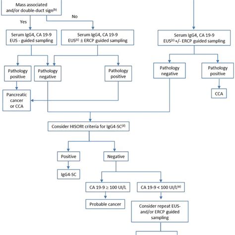 Algorithm For The Evaluation Of Patients With A Cholestatic Clinical Download Scientific