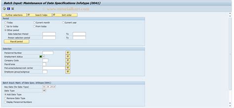 Pc00 M03 Idaba0 Sap Tcode Maintenance It41 Date Types Batch Inp
