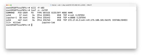 원격 서버에서 jupyter notebook 또는 jupyter lab을 실행하여 접속하기