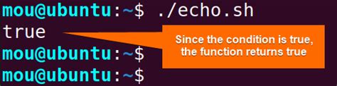 How To Return Boolean From Bash Function 6 Methods LinuxSimply