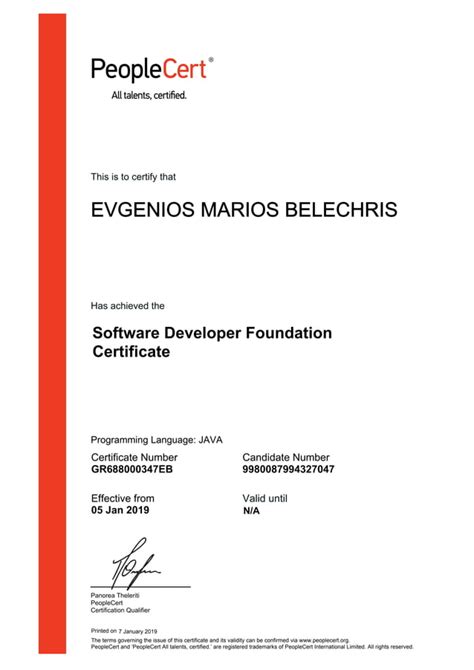 Software Developer Foundation Programming Language Java Pdf