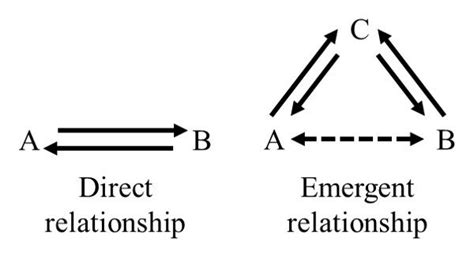 Direct And Emergent Relationships Between A And B Download Scientific Diagram