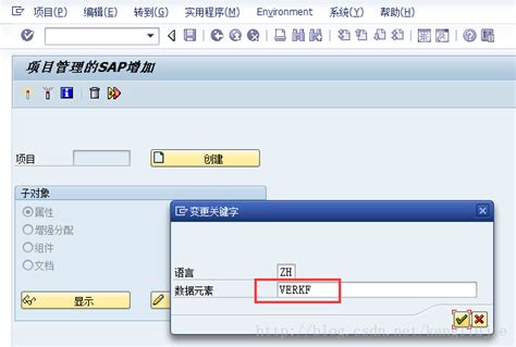 修改sap标准字段文本描述 Cmod增强cmod 字段增强 Csdn博客