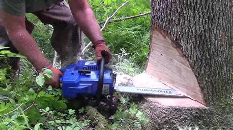Holzfforma g288 Review After 1/2 Year Of Work & A couple of LOUSY ...