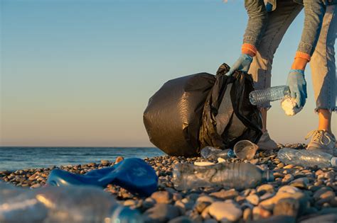 고무 장갑을 낀 여성은 일몰 에 바다의 조약돌 해변에서 검은 쓰레기 봉투에 플라스틱 쓰레기를 수집합니다 생태학 자원 봉사의 개념 세계 환경의 날 자원봉사에 대한 스톡 사진