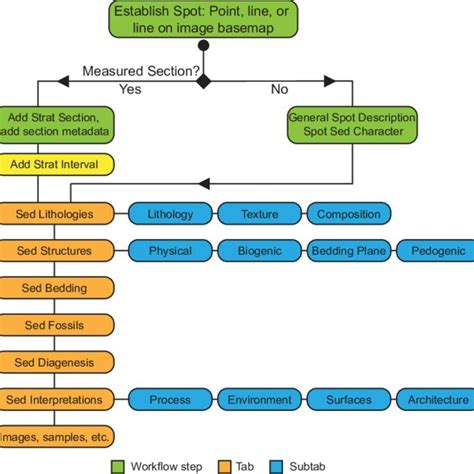 workflow flowchart illustrates the use of strabospot to describe