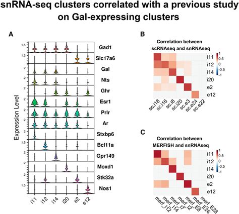 Single Nucleus Rna Seq Identifies One Galanin Neuronal Subtype In Mouse Preoptic Hypothalamus