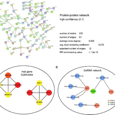 Ppi And Regulatory Network Analysis A Ppi Regulation Network