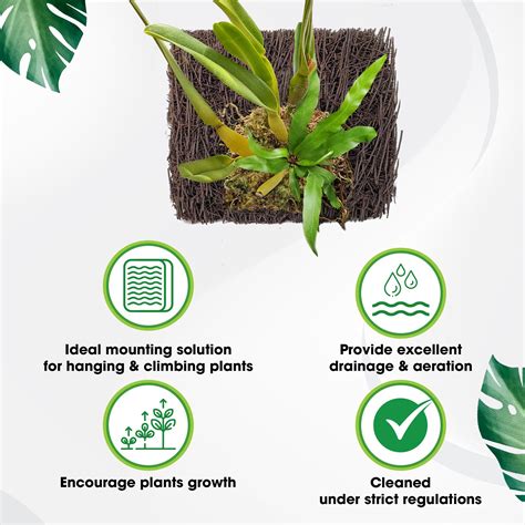 Duspro Tree Fern Fiber Board For Orchids