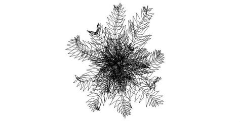 Landscaping Trees Detail D View Elevation Autocad File