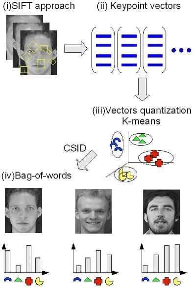 figure 1 from bag of words vector quantization based face