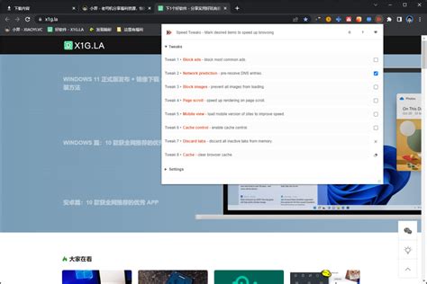 [扩展] Speed Tweaks 优化网页加载速度 小羿
