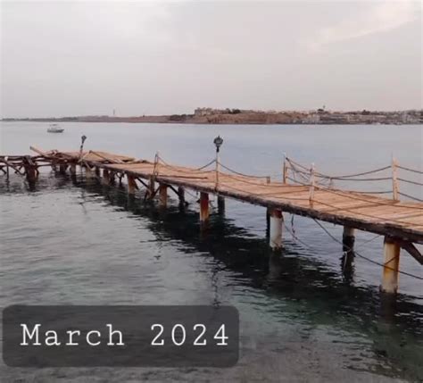 Walid Marzouk On Linkedin Red Jetty