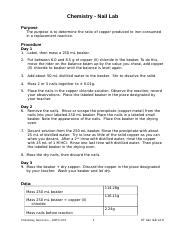 01 Nail Lab 2 1 Doc Chemistry Nail Lab Purpose The Purpose Is To