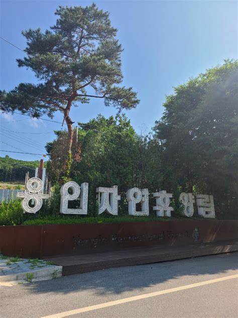 용인자연휴양림 당일나들이 너무 좋잖아 네이버 블로그