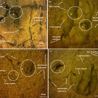 A And B Optical Micrographs Of Sample 1 D And E Optical Micrographs Of Download Scientific