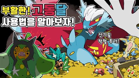 상향 받고 부활한 패러독스 포켓몬의 대장 고동치는달 사용법을 다시 알아보자 [포켓몬스터 스칼렛 바이올렛] Youtube