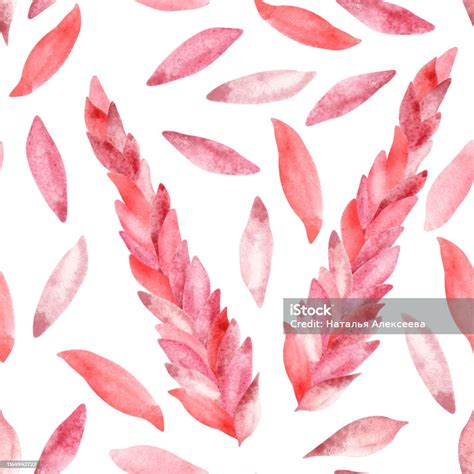 수채화 손 그린 매끄러운 패턴 흰색 배경에 고립 된 장미 꽃잎의 낭만적 인 열대 꽃 무늬 0명에 대한 스톡 벡터 아트 및 기타 이미지 Istock