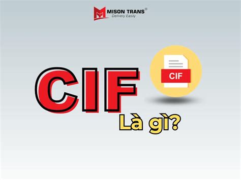 Cif Là Gì Trách Nhiệm Của Người Bán Và Người Mua Trong Cif