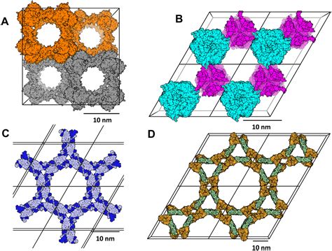Porous Protein Crystals Synthesis And Applications Chemical